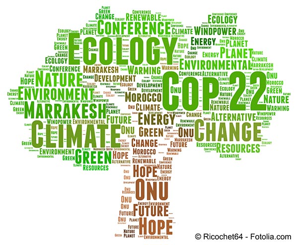 cop 21 et cop 22 pdf